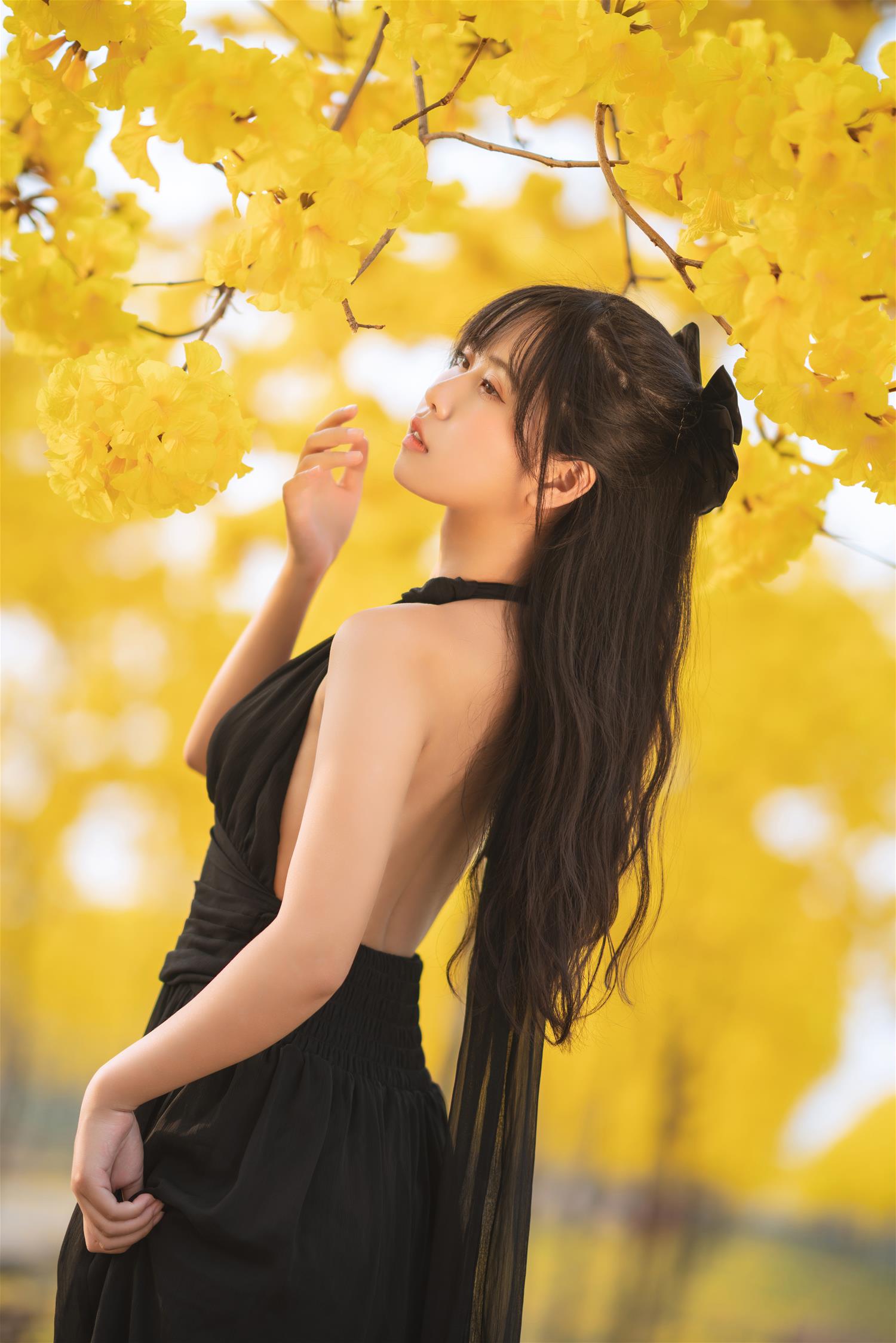 萌芽儿o0 秋有银杏 春有黄风铃 [24P-336MB] – 热力图