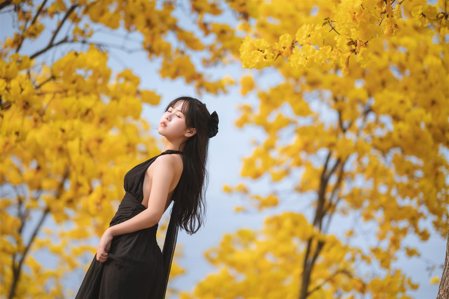 萌芽儿o0 秋有银杏 春有黄风铃 [24P-336MB] – 热力图